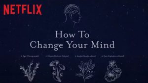 9 quality documentaries about lsd, mushrooms and other psychedelics you ...