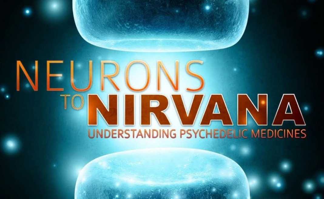 9 quality documentaries about lsd, mushrooms and other psychedelics you ...