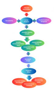 Psilocybin and Neuroplasticity: A Review of Preclinical and Clinical ...